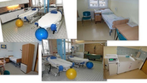 Porodnice Královské Vinohrady - Modrý koník