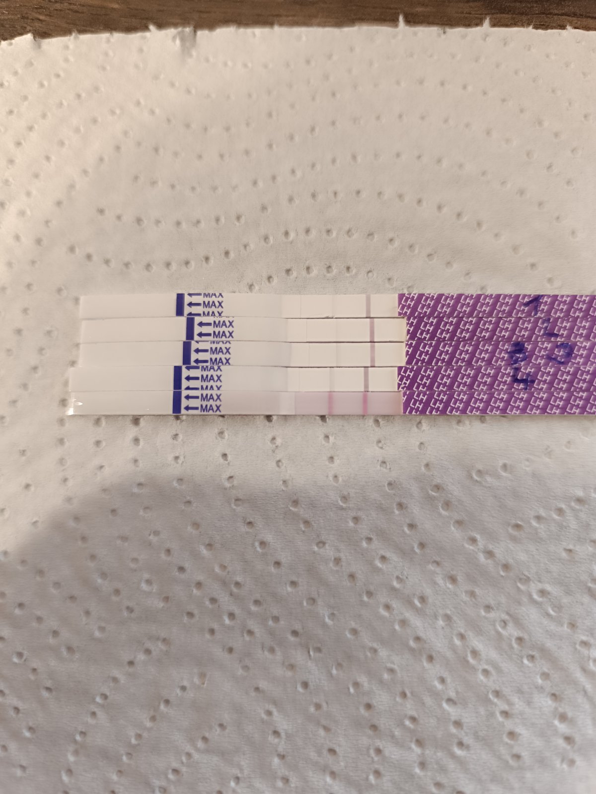 Je ovulační test pozitivní? - Modrý koník