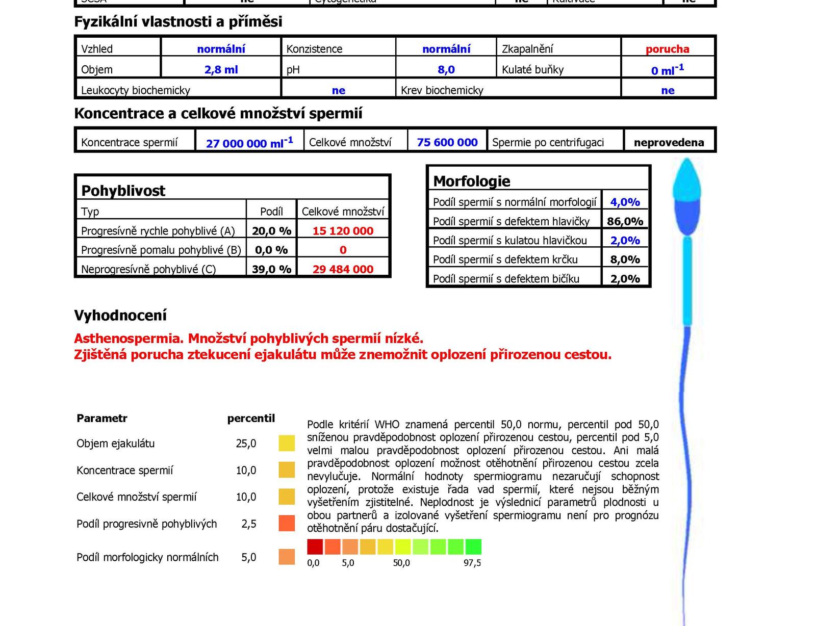 PCO a horší spermiogram - Modrý koník