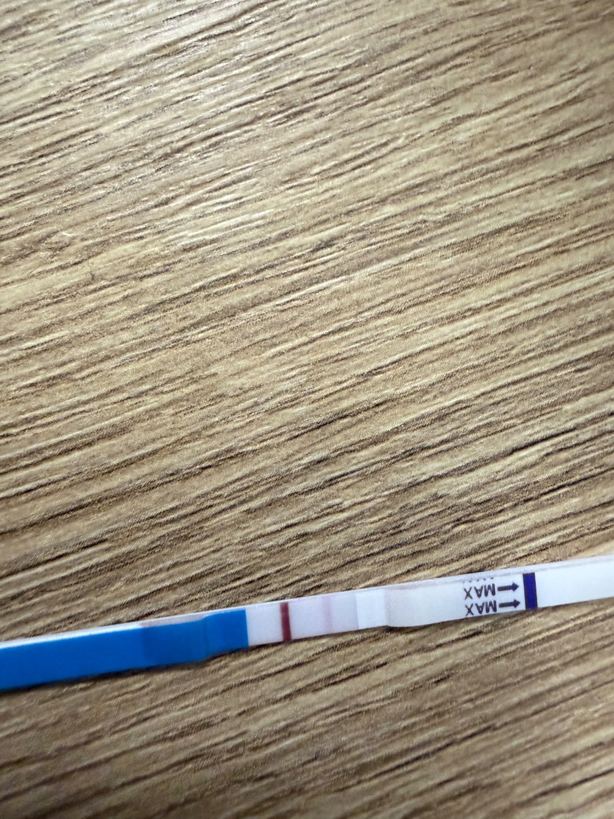 Těhotenský test. Je to duch? - Modrý koník