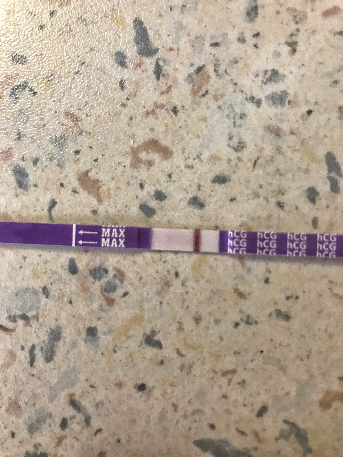 Falešně pozitivní Mamatest 10-Clostilbegyt. Může to být těhu? - Modrý koník