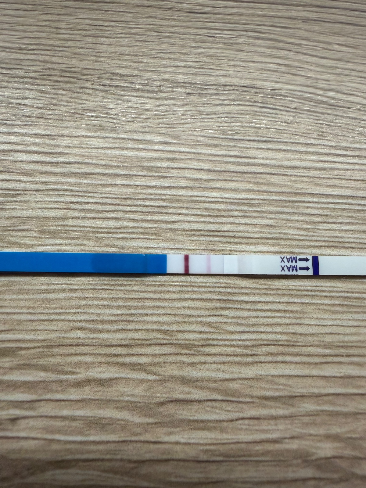 Těhotenský test. Je to duch? - Modrý koník