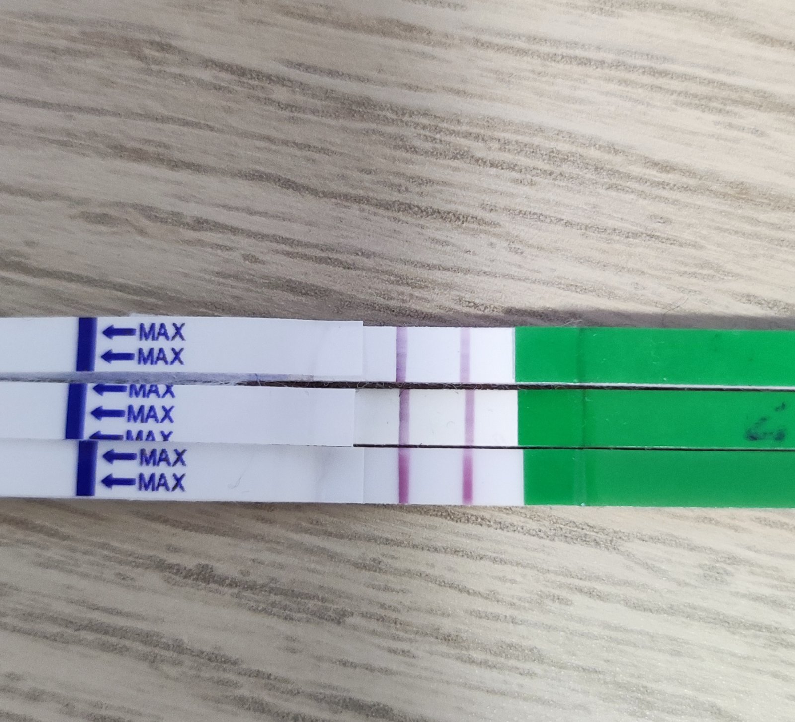 Ovulační test. Který je pozitivní? - Modrý koník